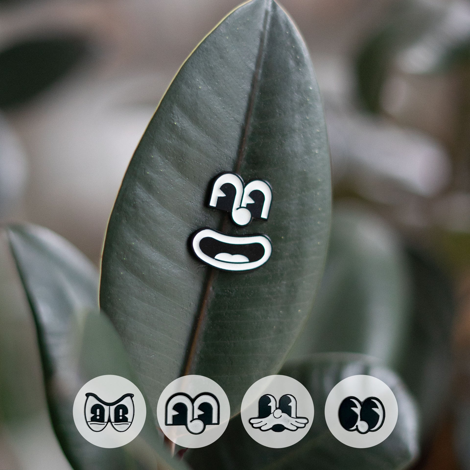 Personalize your Plants with Magnet Plant Charms – Eufolia