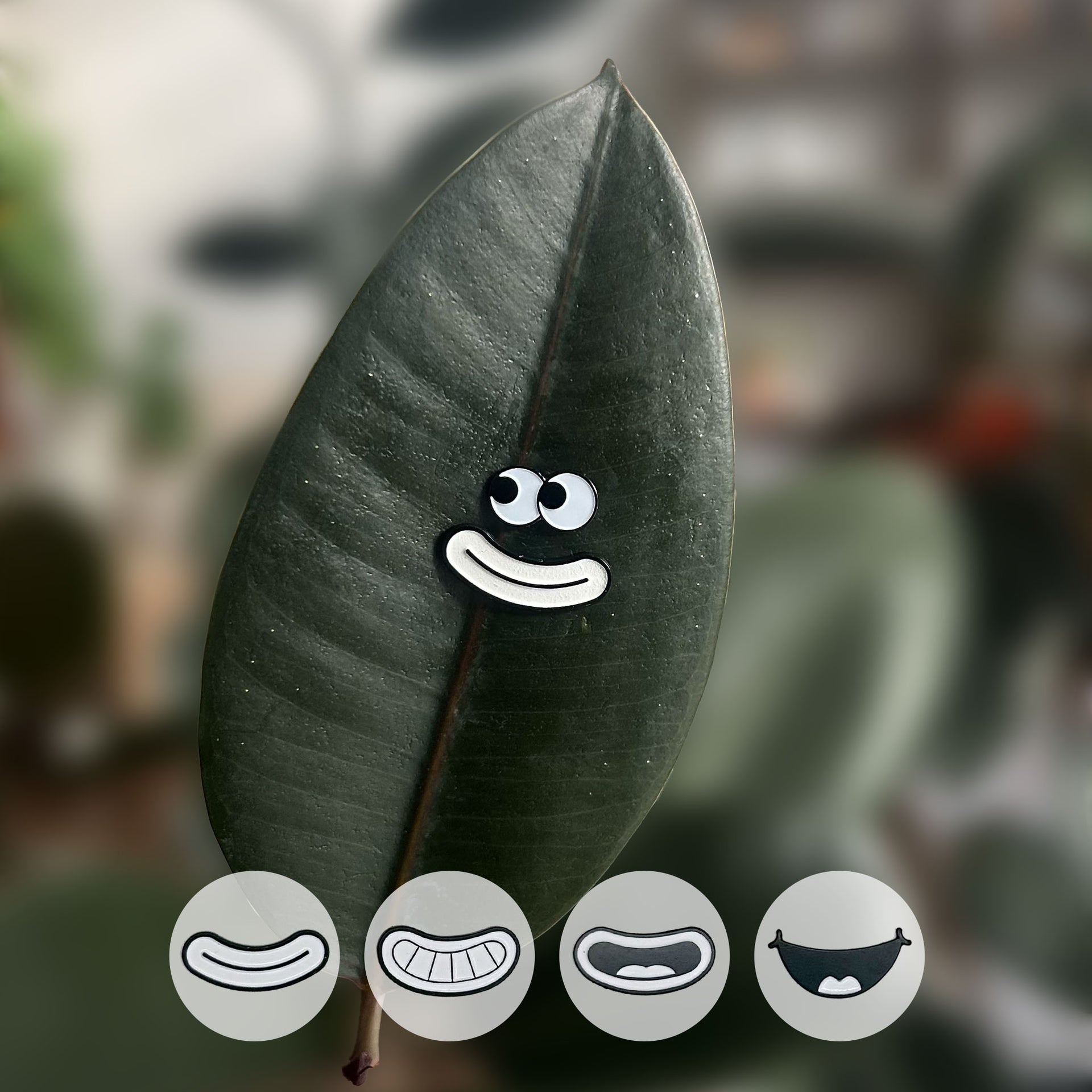 PlantMagnets™ - Plant Charms for potted plants – Eufolia