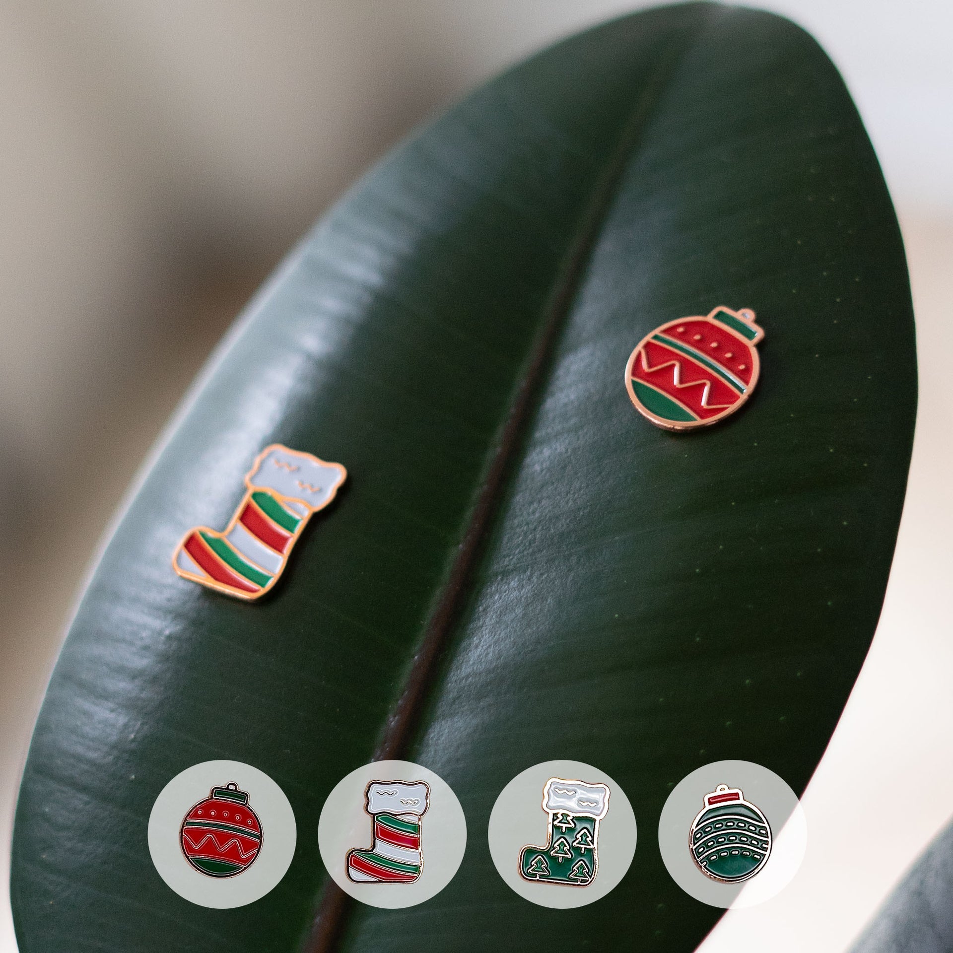 PlantMagnets™ - Plant Charms for potted plants – Eufolia