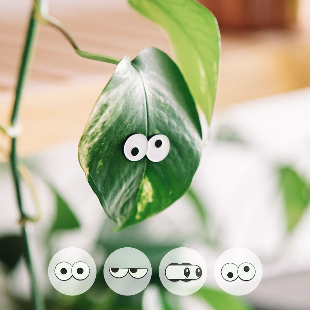 PlantMagnets™ - Plant Charms for potted plants – Eufolia