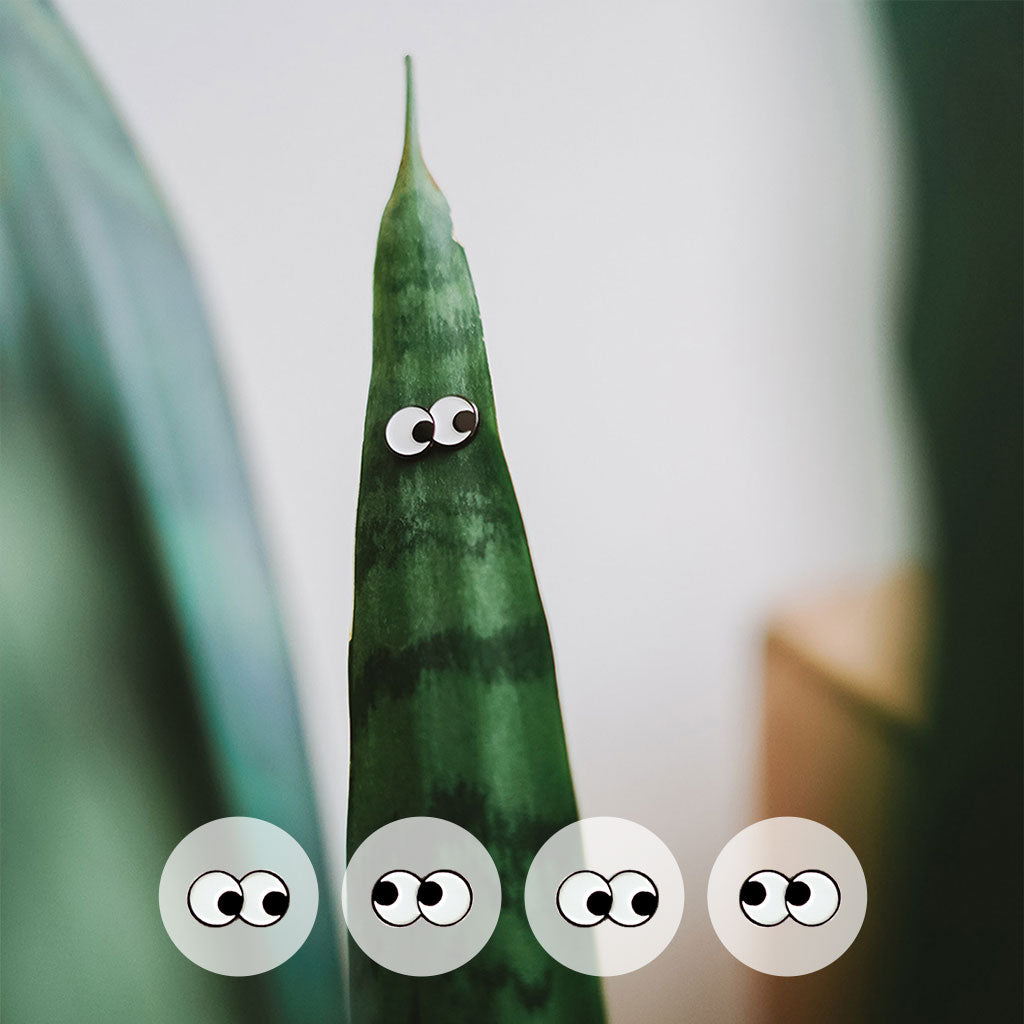 PlantMagnets™ - Plant Charms for potted plants – Eufolia