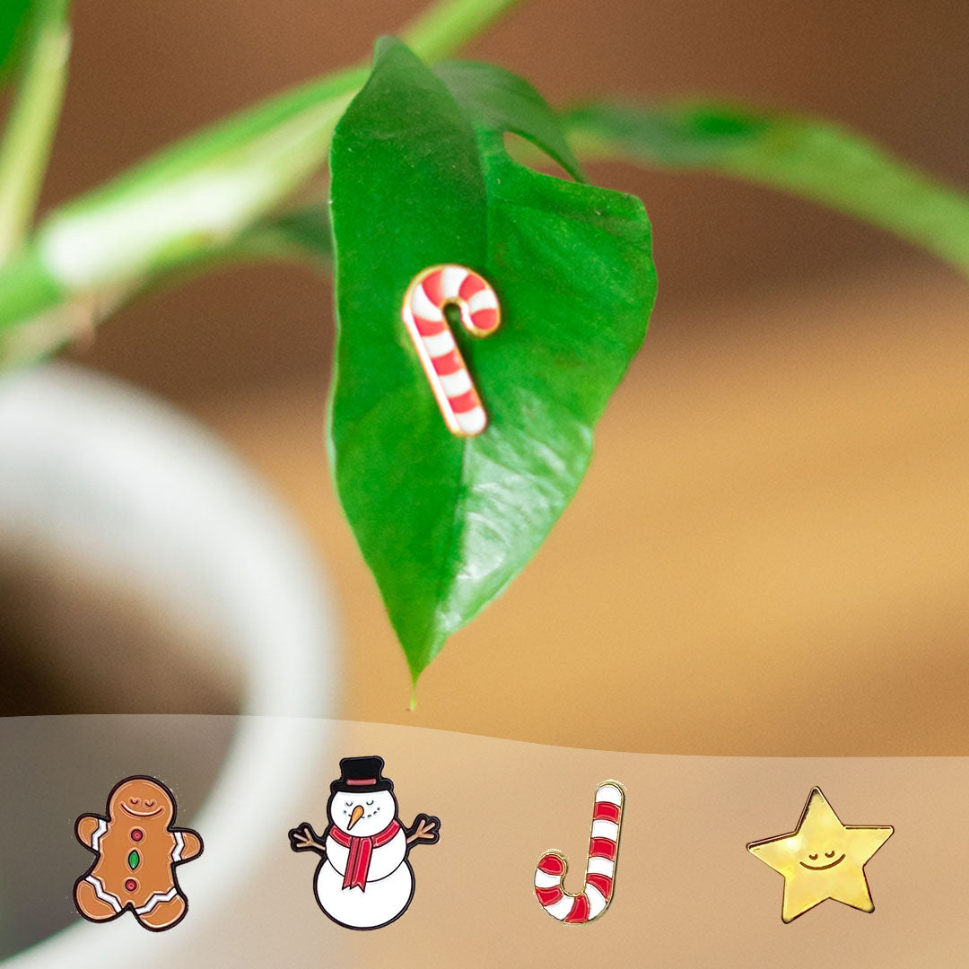 PlantMagnets™ - Plant Charms for potted plants – Eufolia